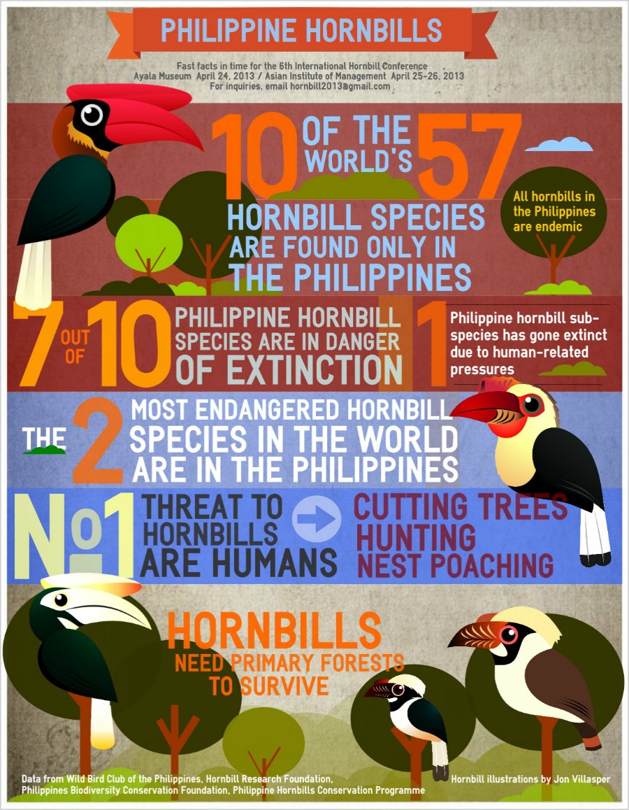 INFOGRAPHIC: PHL is home to the world's two most endangered hornbill ...