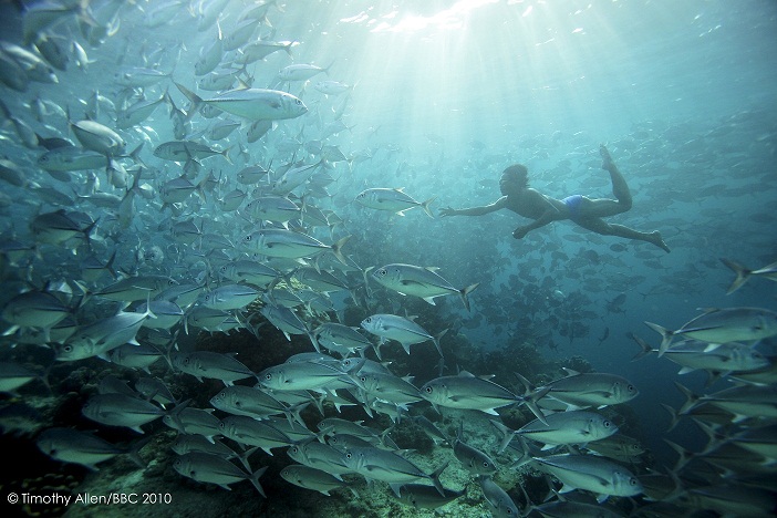 BBC’S “Human Planet” airs on GMA News TV this August | GMA News Online