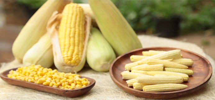 how to make baby corn manchurian in kannada