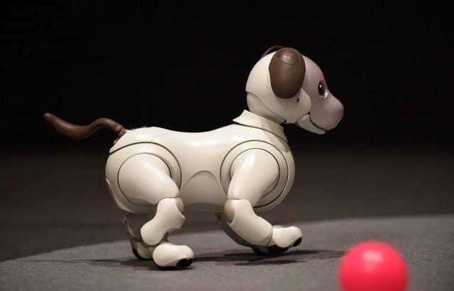Sony revives robot pet dog Aibo | GMA News Online