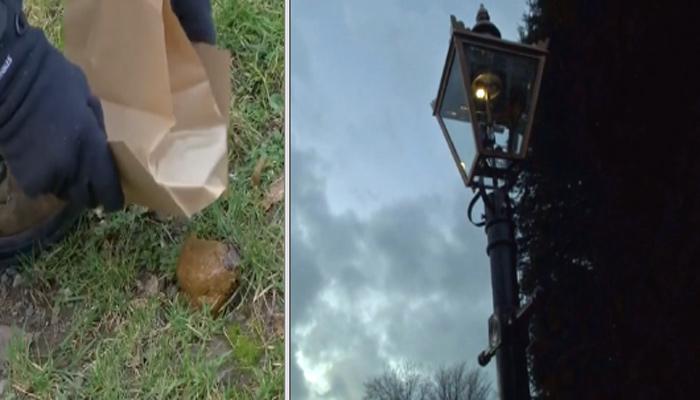 Dumi ng aso, nagpapailaw ng street lamp sa England | Philippine News Dumi ng aso, nagpapailaw ng street lamp sa England | Philippine News