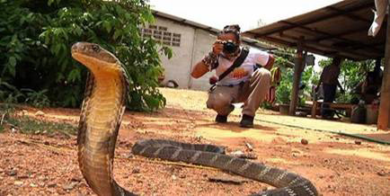 'Born to be Wild' celebrates Christmas with the elusive mameng | GMA ...