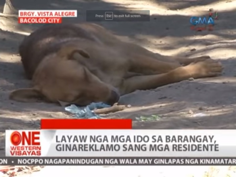 One Western Visayas: Ido sa Barangay Ginareklamo