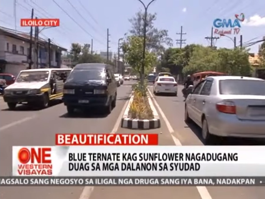 One Western Visayas: Dugang Duag sa mga Dalanon