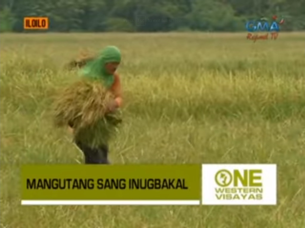 One Western Visayas: Bulig sa mga Mangunguma