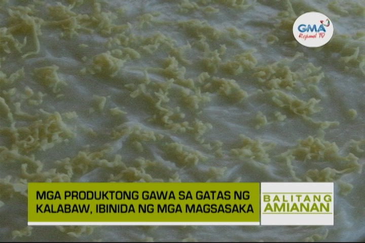 Balitang Amianan: Mga Produktong Gawa sa Gatas ng Kalabaw | Balitang ... Balitang Amianan: Mga Produktong Gawa sa Gatas ng Kalabaw | Balitang ...