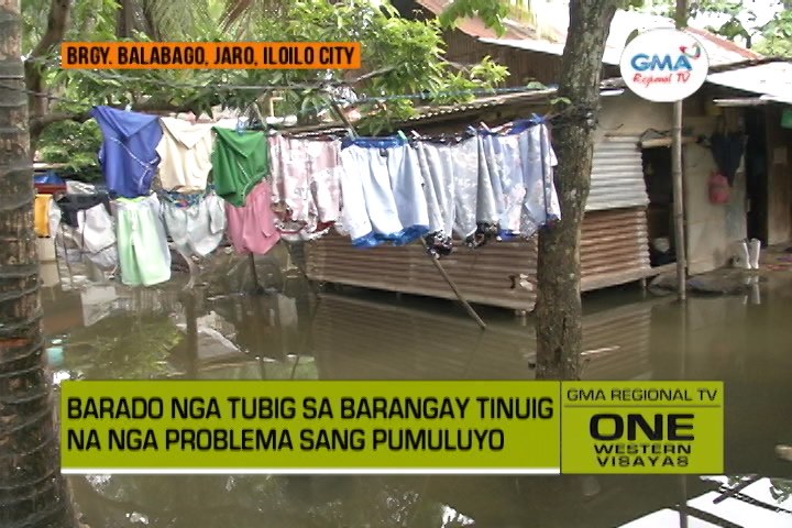 One Western Visayas: Mga Pamalay Tinuig na nga Nagalutaw sa Tubig Baha