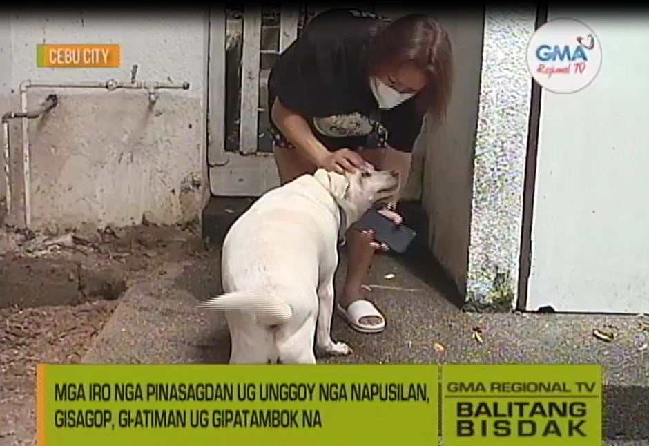 Balitang Bisdak: Gipang-Rescue