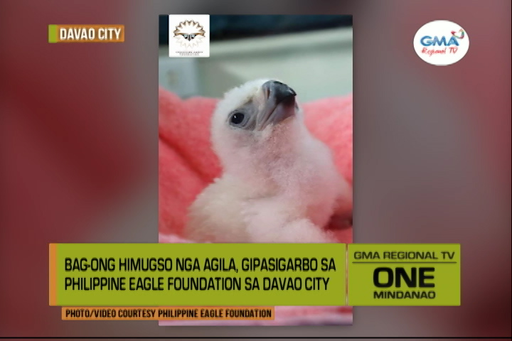 One Mindanao: Bag-ong Agila