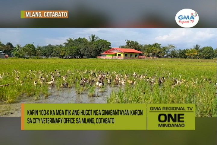 One Mindanao: Bantay-Bird Flu