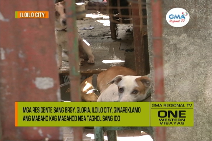 One Western Visayas: Mga Residente sang Brgy. Gloria, Ginareklamo ang Mabaho kag Magahod nga Ido