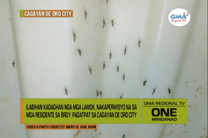 One Mindanao: Problema Lamok