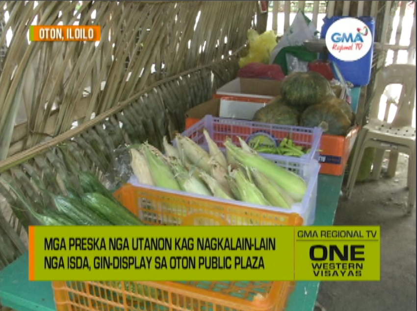 One Western Visayas: Mga Preska nga Utanon kag Nagkalain-lain nga Isda, Gin-display sa Oton Plaza