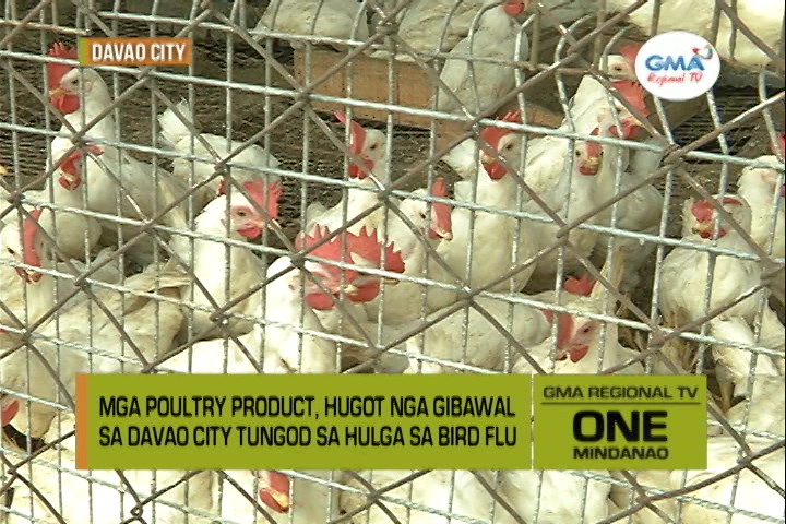 One Mindanao: Bantay-Bird Flu