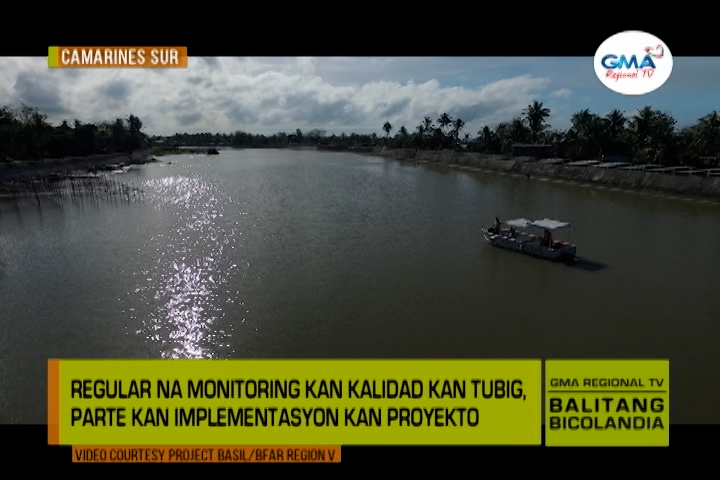 Balitang Bicolandia : 'Project Basil' | Balitang Bicolandia | GMA ... Balitang Bicolandia : 'Project Basil' | Balitang Bicolandia | GMA ...
