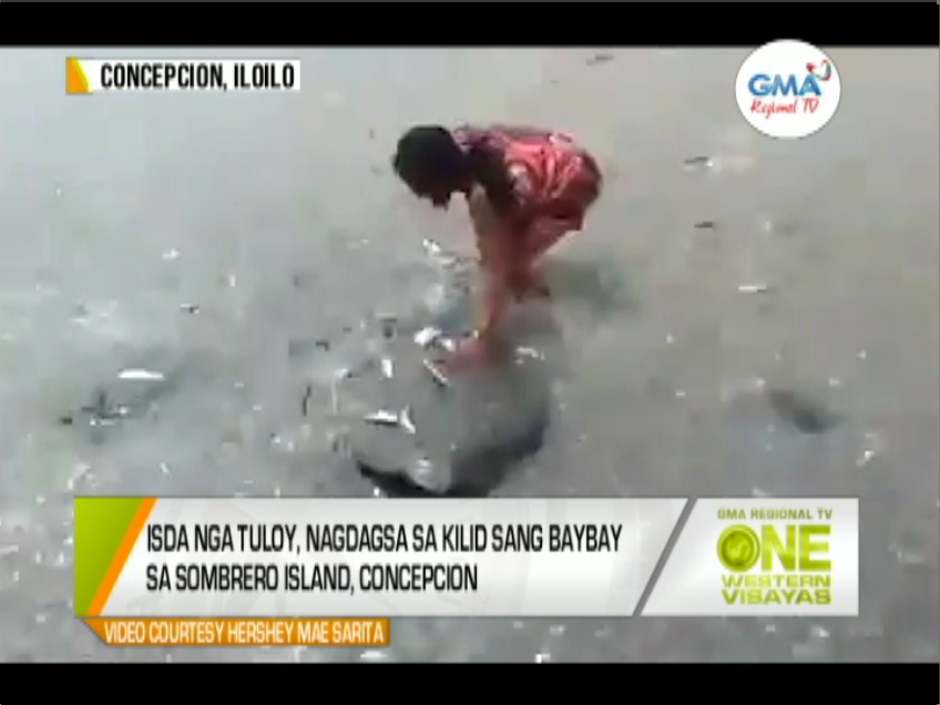 One Western Visayas: Isda nga Tuloy, Nagdagsa sa Kilid sang Baybay sa ...