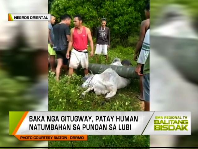 Balitang Bisdak: Resulta sa Pagbundak sa Uwan