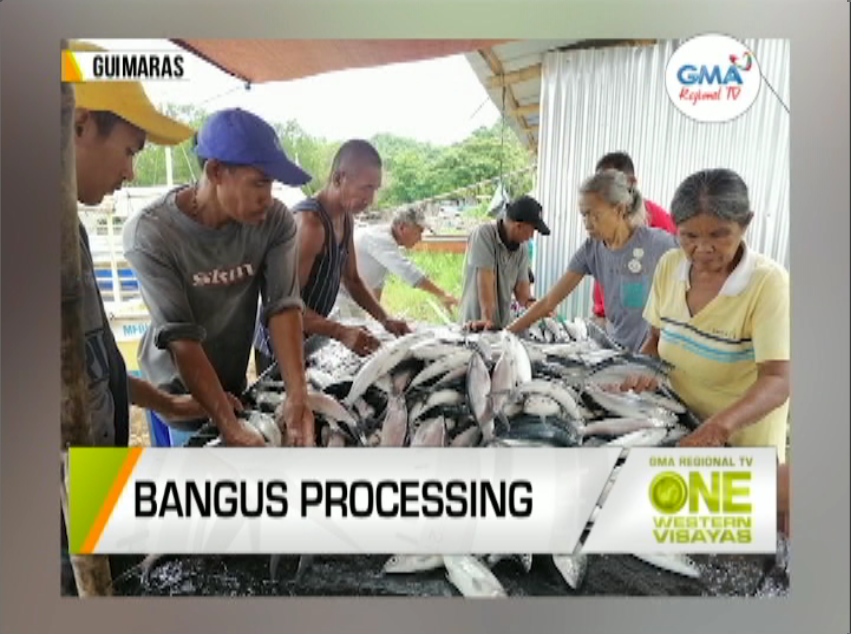 One Western Visayas: Mga Sakayanon kag Manugpangisda sa Guimaras, Nagpaidalum sa Bangus Training