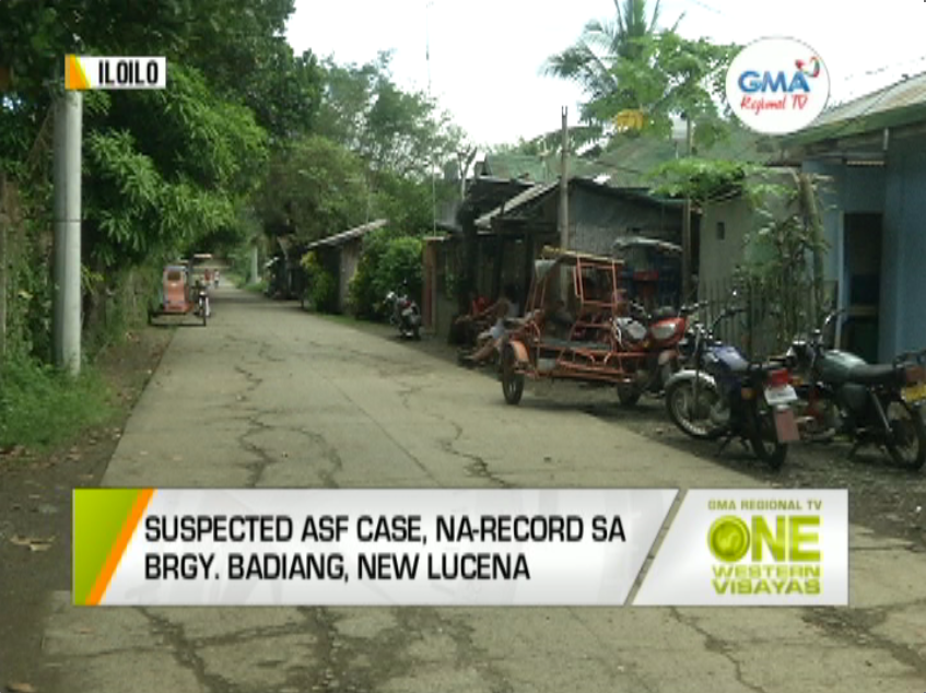 One Western Visayas: Suspected ASF Case, Na-record sa Brgy. Badiang ...