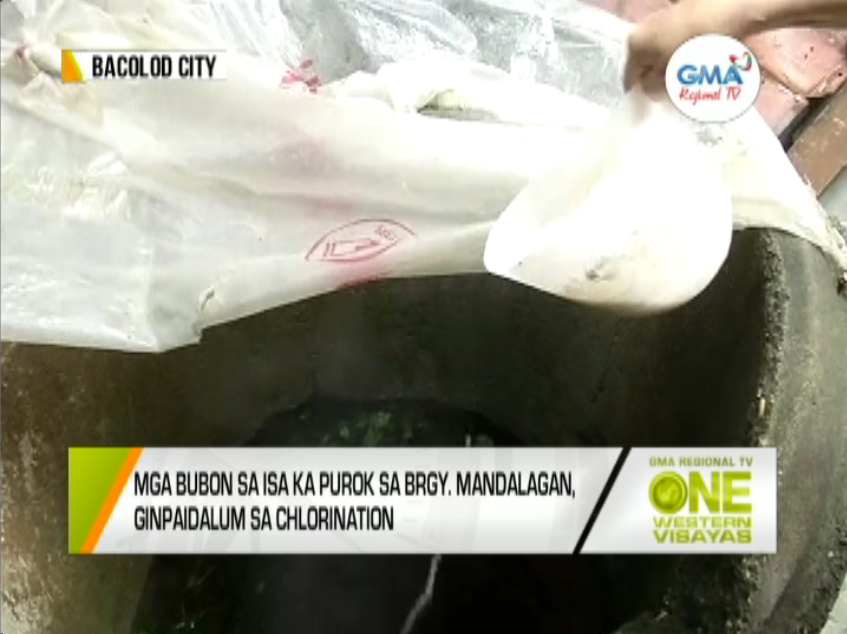 One Western Visayas: Mga Bubon sa Isa ka Purok sa Brgy. Mandalagan, Ginpaidalum sa Chlorination