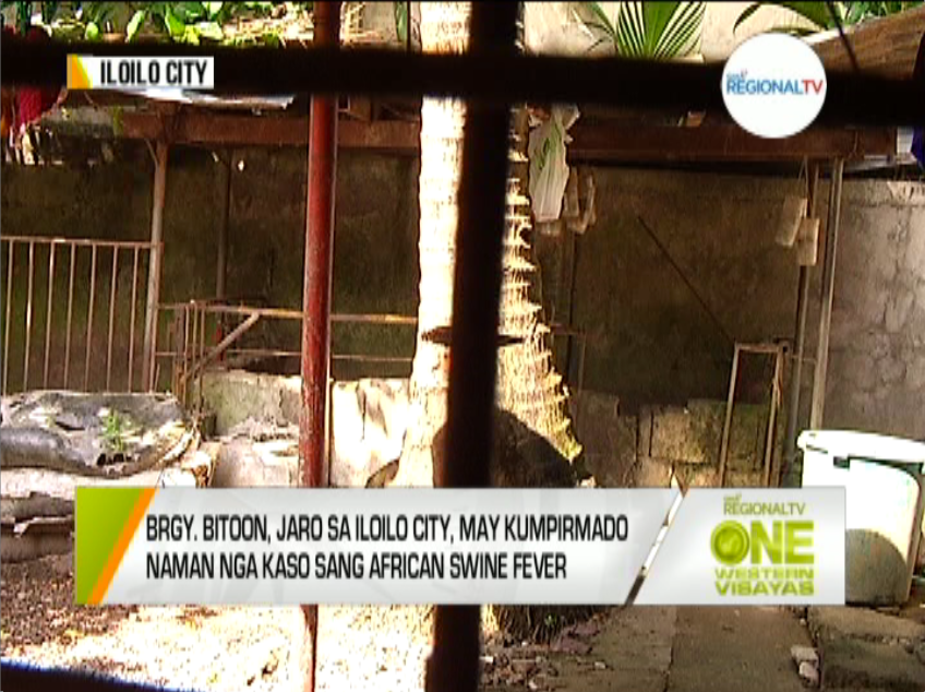 One Western Visayas: Brgy. Bitoon, Jaro sa Iloilo City, May Kumpirmado Naman nga Kaso sang ASF