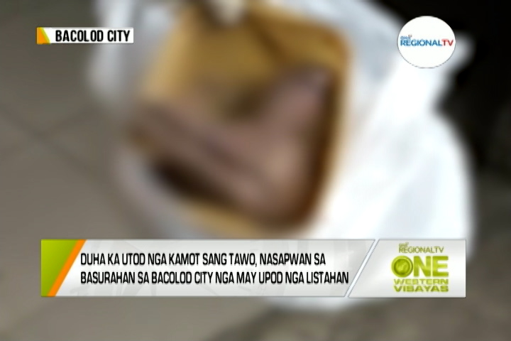 One Western Visayas: Duha ka Utod nga Kamot sang Tawo, Nasapwan sa ...