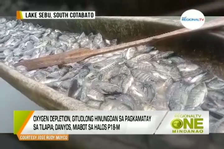One Mindanao: Fish kill