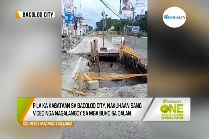 One Western Visayas: Pila ka Kabataan, Nakuhaan sang Video nga Nagalangoy sa mga Buho sa Dalan ...