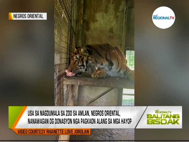 Balitang Bisdak: Nanginahanglan og Tabang | Balitang Bisdak | GMA ...