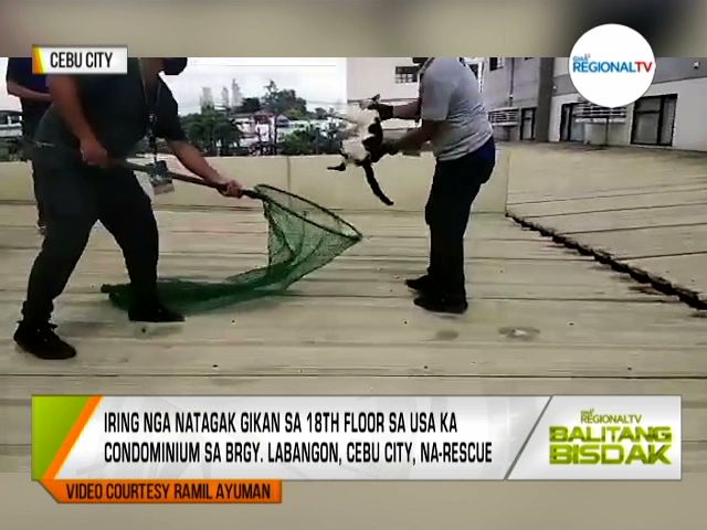 Balitang Bisdak: Iring Natagak Gikan sa 18th Floor, Naluwas