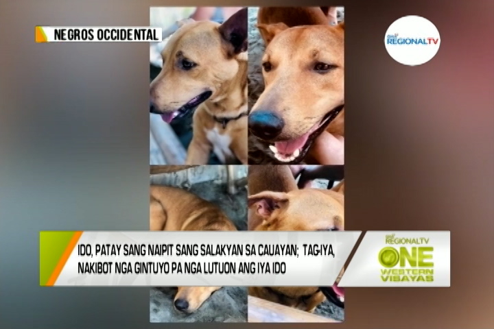 One Western Visayas: Ido nga Napatay sang Naipit sang Salakyan, Gintuyo ...