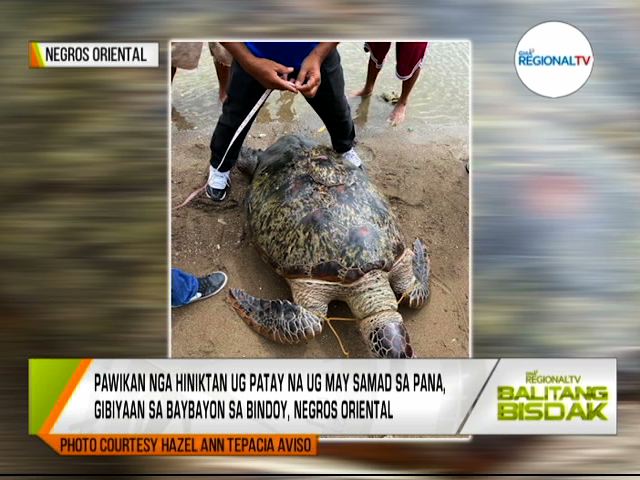 Balitang Bisdak: Posible'ng Gisuwayan Unta nga Karnehon