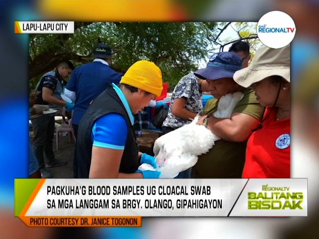 Balitang Bisdak: Bantay-Bird Flu