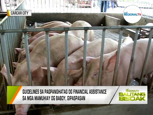 Balitang Bisdak: Ayuda sa mga Namuhi og mga Baboy. Balitang Bisdak: Ayuda sa mga Namuhi og mga Baboy.