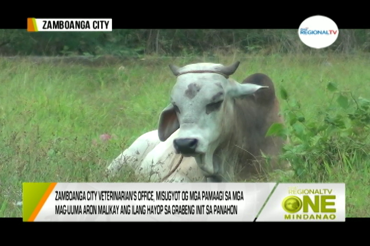 One Mindanao: Epekto sa Ting-init