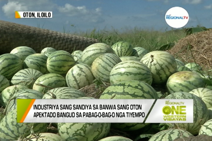 One Western Visayas: Industriya sang Sandiya sa Oton, Apektado Bangud ...