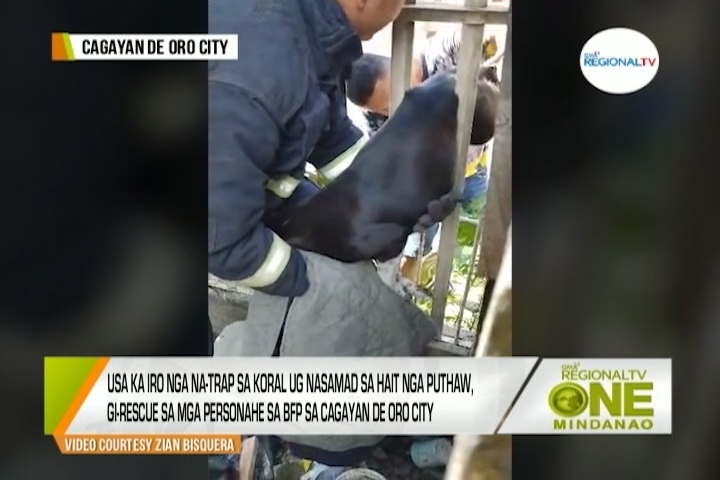 One Mindanao: Naluwas