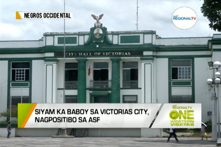 One Western Visayas: Siyam ka Baboy sa Victorias City, Nagpositibo sa ASF