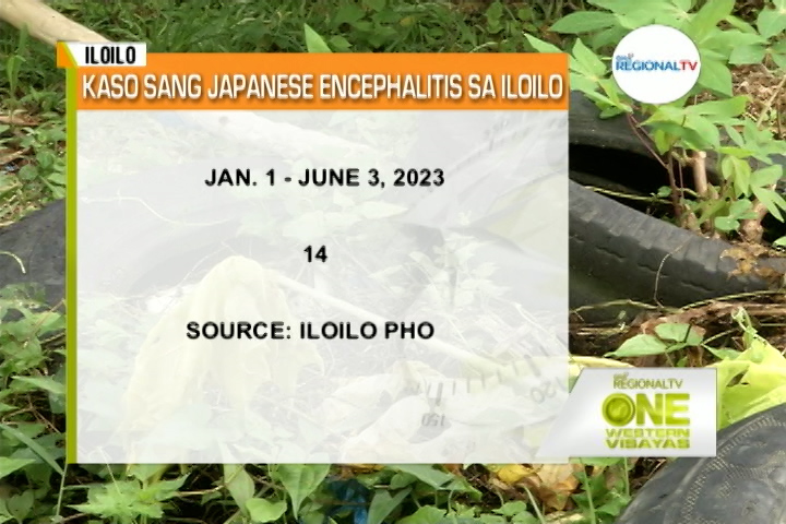 One Western Visayas: 14 ka Kaso sang Japanese Encephalitis, Na-record sa Iloilo, 4 ang Napatay
