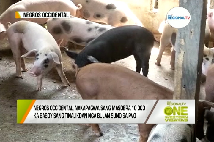 One Western Visayas: Negros Occidental, Nakapagwa sang Masobra 10,000 ka Kaboy sang Mayo