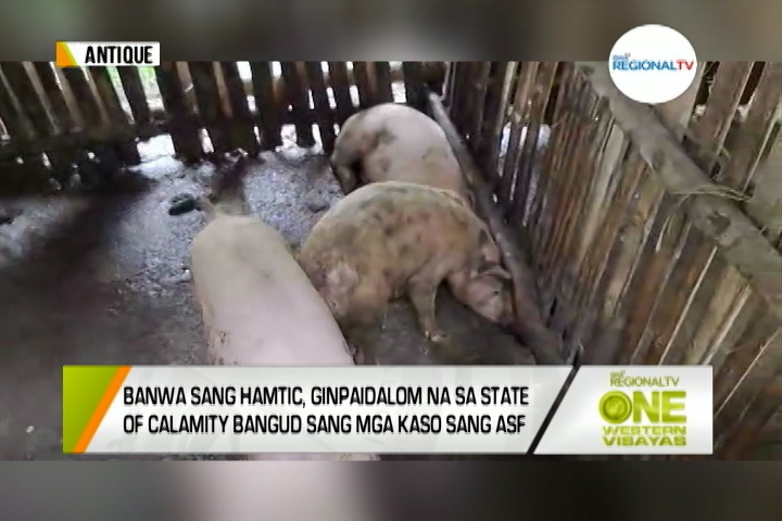 One Western Visayas: Banwa sang Hamtic, Ginpaidalom na sa State of Calamity Bangud sa ASF Cases