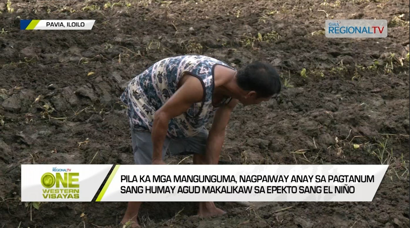 One Western Visayas: Pila ka mga Mangunguma, Nagpaiway Anay sa Pagtanum sang Humay