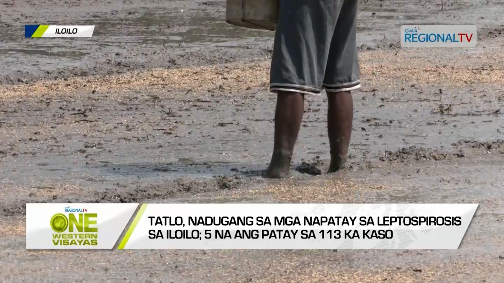 One Western Visayas: Tatlo, Nadugang sa mga Napatay sa Leptospirosis sa Iloilo; 5 na ang Patay
