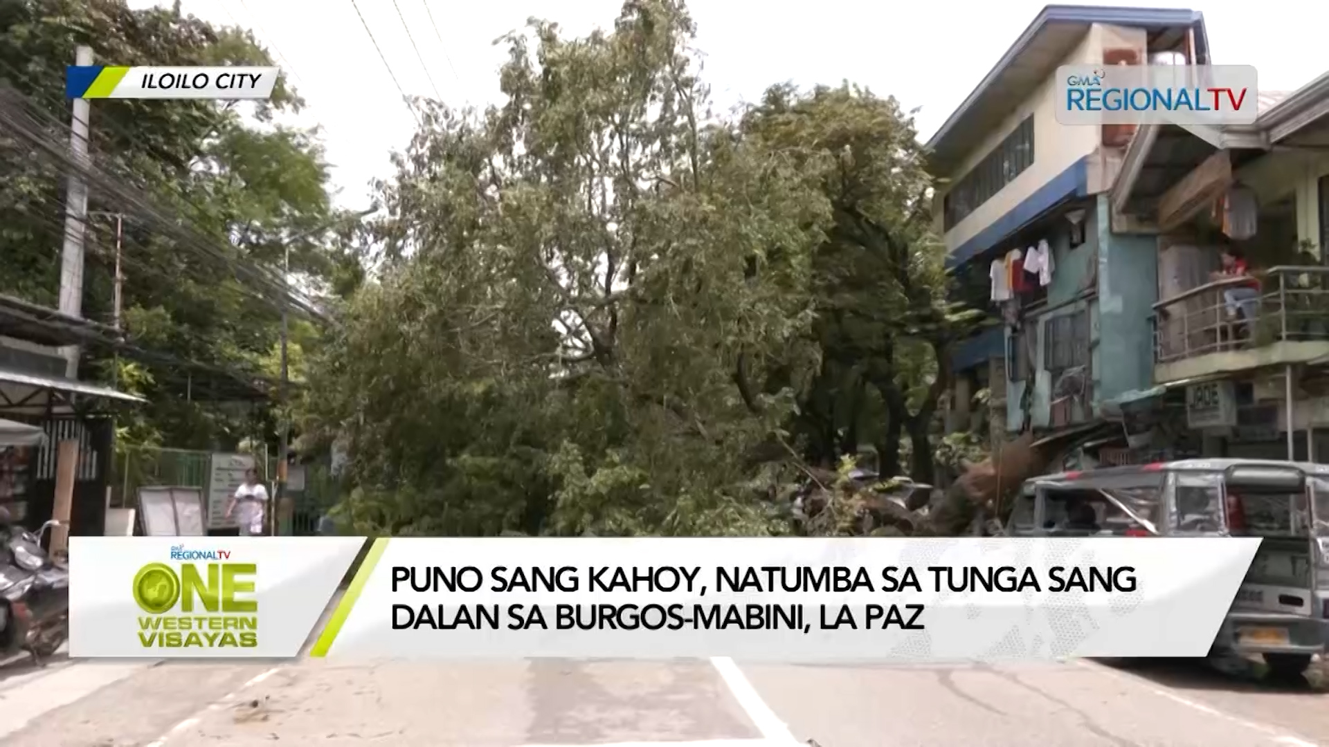 One Western Visayas: Puno sang Kahoy, Natumba sa Tunga sang Dalan sa ...