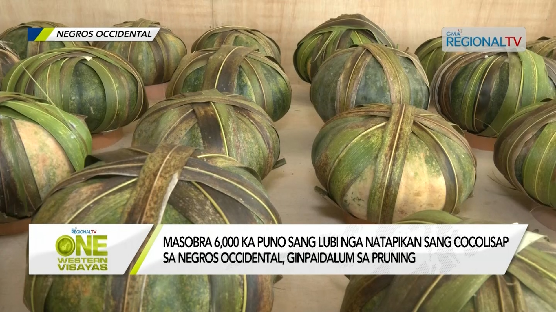 One Western Visayas: Peste sa mga Lubi