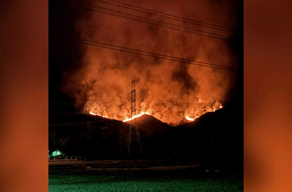 Forest fire in Labrador burns for 19 hours