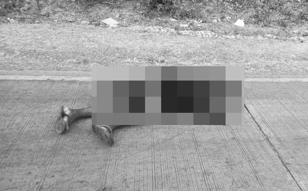Man who sought help from barangay found dead later