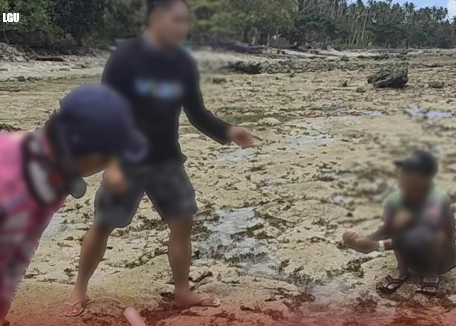 Fishermen nabbed for alleged use of cyanide