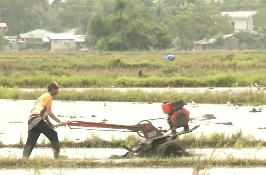 Iloilo farmers start preparing fields for new cropping season