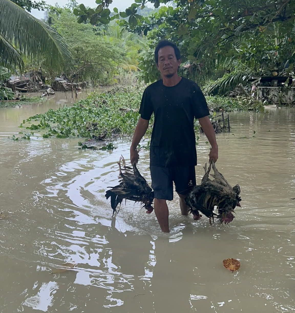 Flood hits over 120 families in Barili, Cebu